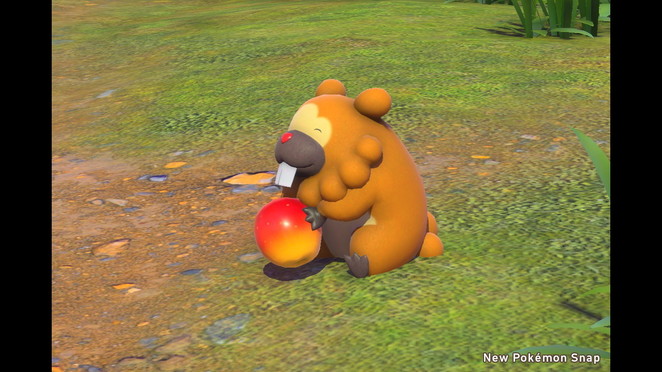 Pokemon Snap Neo Album - Show off your Snaps! - New Pokémon Snap Forum ...