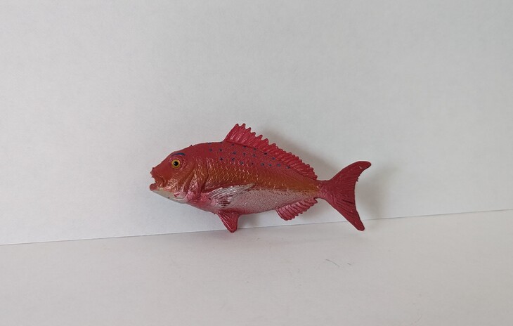 Northern Red Trapper from EpicRaptorMan - hosted by Neoseeker