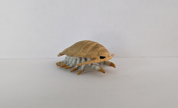 Giant Isopod from EpicRaptorMan - hosted by Neoseeker