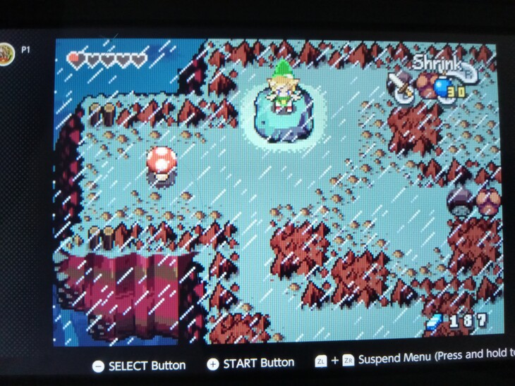 Minish Cap Storytine Details and Beastiary - The Legend of Zelda: The ...